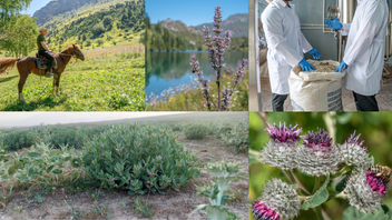 Turk Builder Max – HTLT Supplements